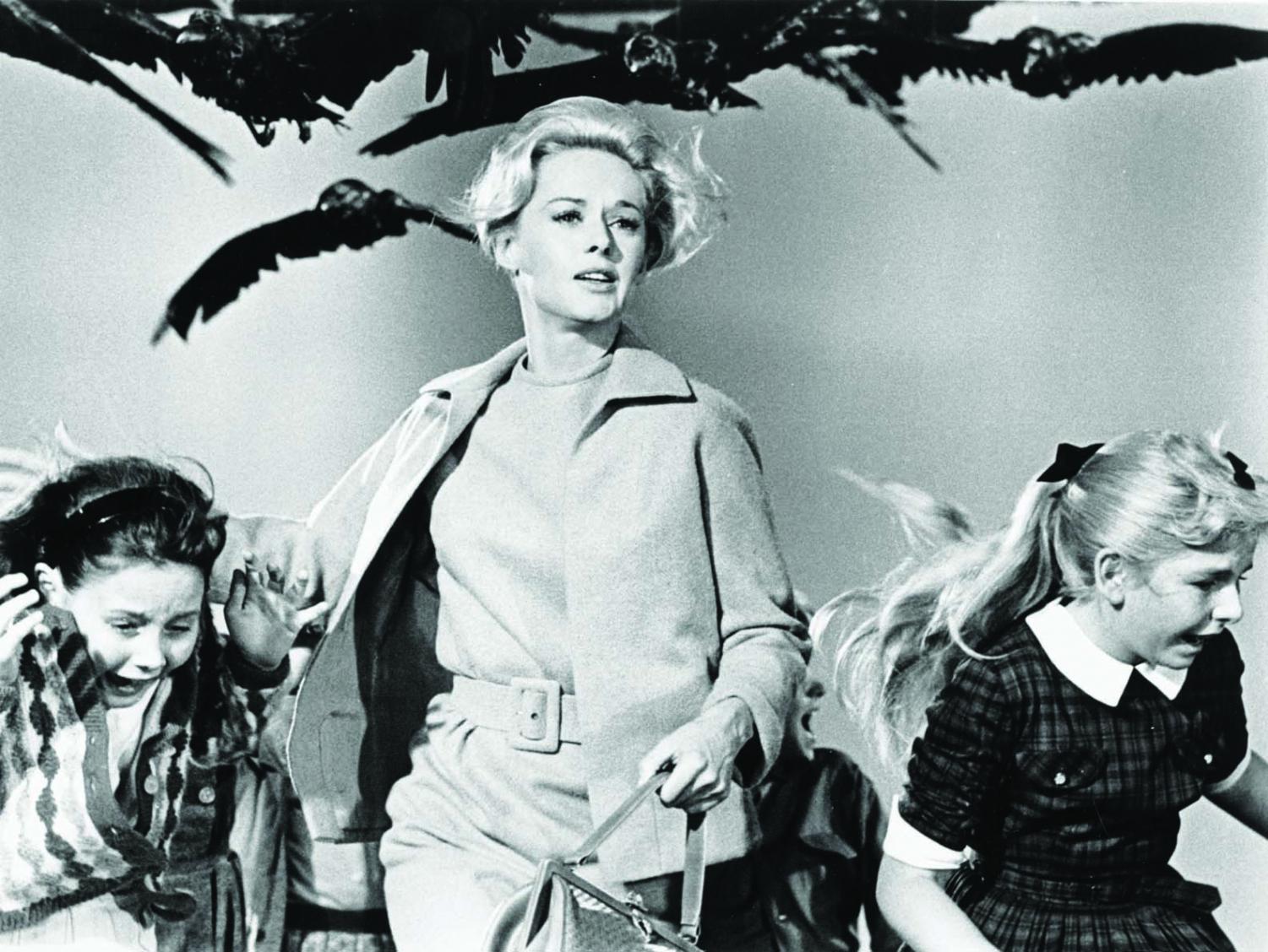 The Birds: You’ll Never Look at Seagulls the Same Way – TATLER